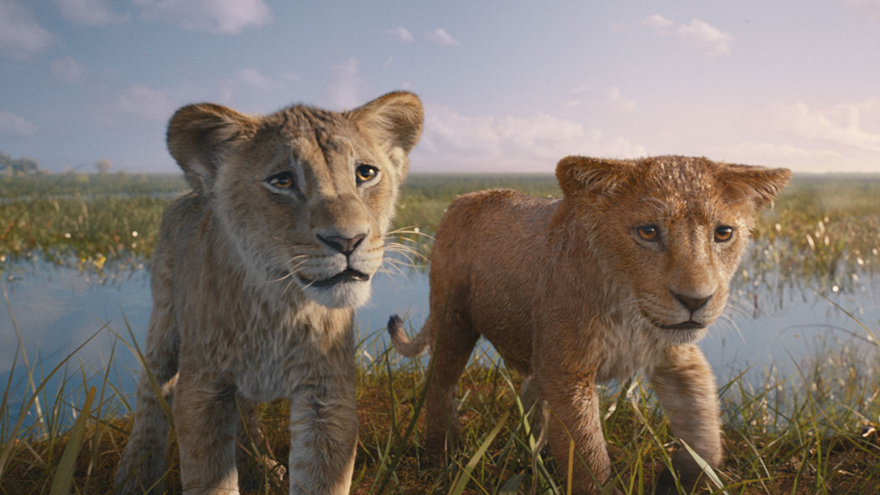 Buy cinema tickets for Mufasa: The Lion King (3D) | BFI IMAX